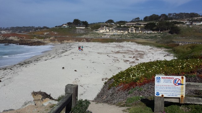 Fanshell Beach in Pebble Beach, CA - California Beaches