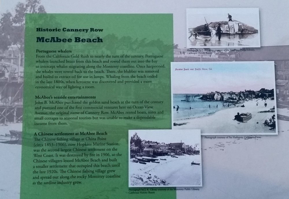 McAbee Beach in Monterey, CA - California Beaches