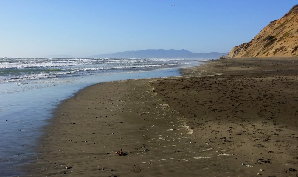 Fort Funston Beach in San Francisco, CA - California Beaches