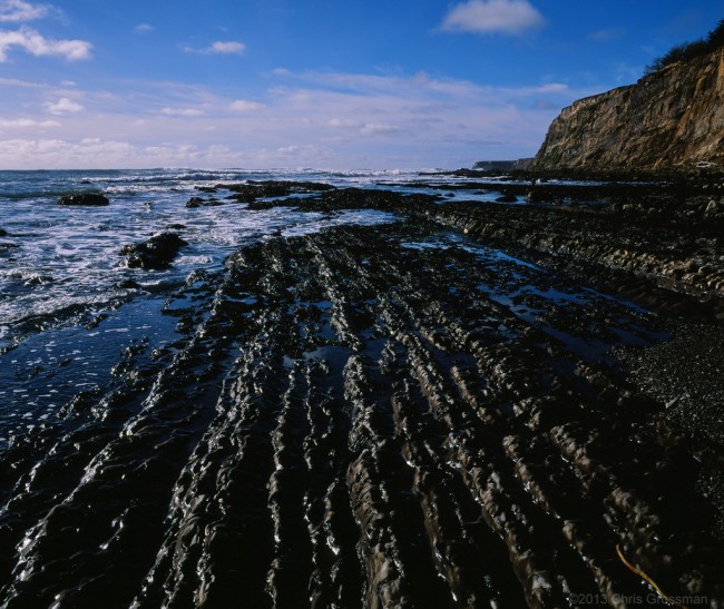 Arena Cove Beach in Point Arena, CA - California Beaches