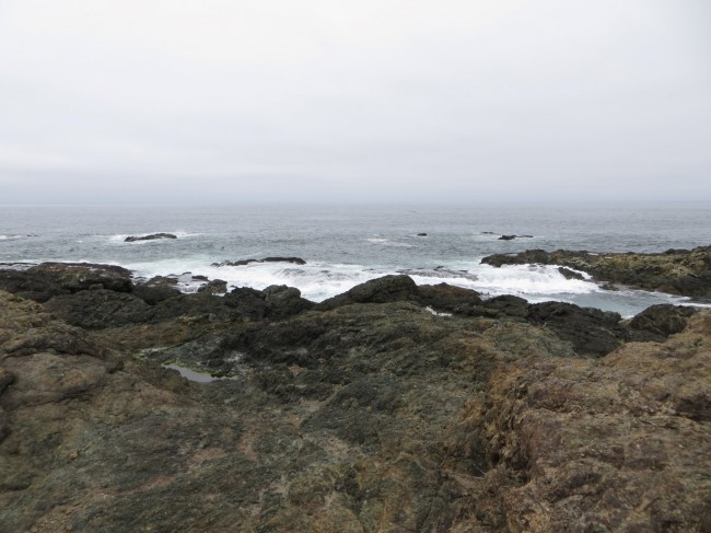 Abalone Point in Whitethorn, CA - California Beaches