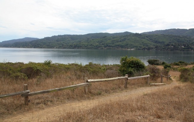 Alan Sieroty Beach at Millerton Point in Marshall, CA - California Beaches