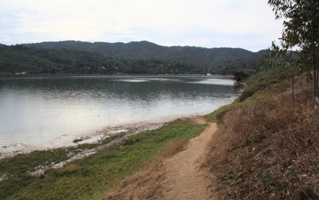 Alan Sieroty Beach at Millerton Point in Marshall, CA - California Beaches