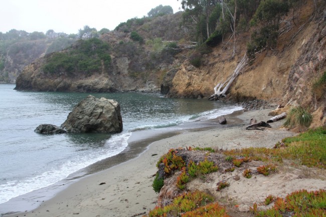 Albion Flat Beach in Albion, CA - California Beaches