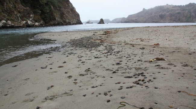 Albion Flat Beach in Albion, CA - California Beaches
