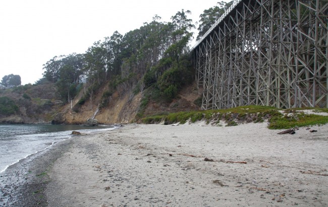 Albion Flat Beach in Albion, CA - California Beaches