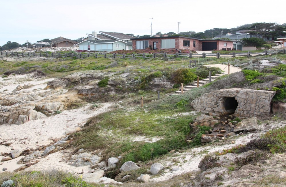 Asilomar State Beach in Pacific Grove, CA - California Beaches