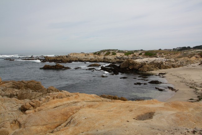 Asilomar State Beach in Pacific Grove, CA - California Beaches