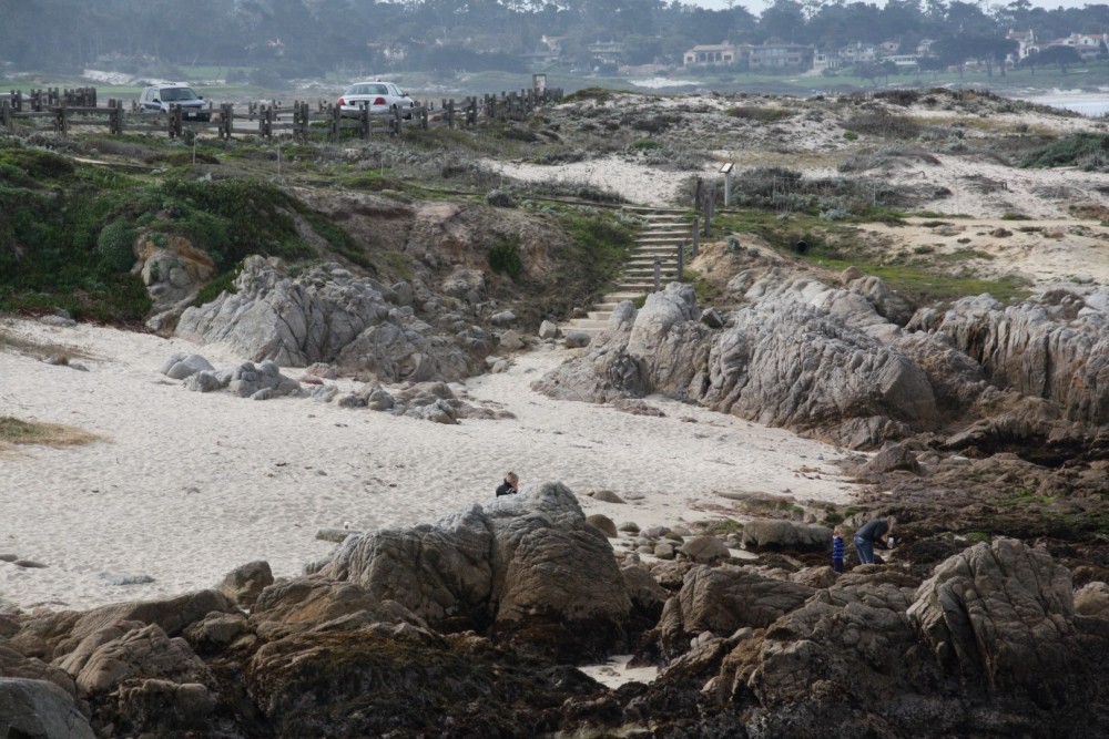 Asilomar State Beach in Pacific Grove, CA - California Beaches
