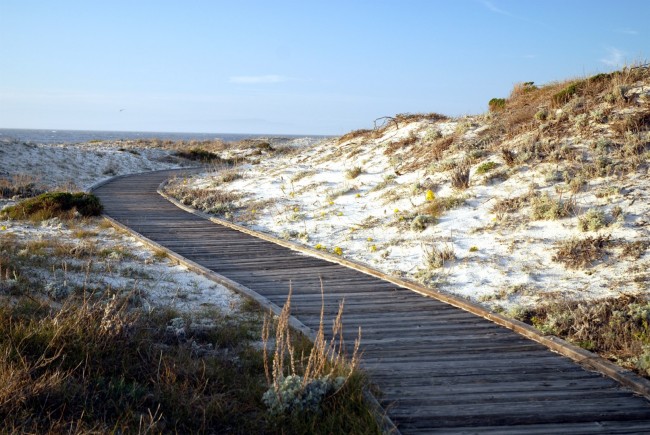 Asilomar State Beach in Pacific Grove, CA - California Beaches