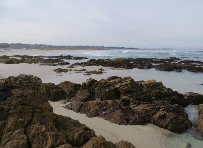 Asilomar State Beach in Pacific Grove, CA - California Beaches
