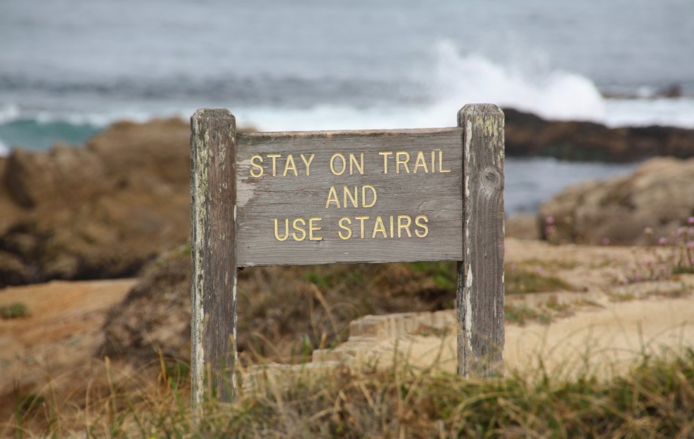 Asilomar State Beach in Pacific Grove, CA - California Beaches