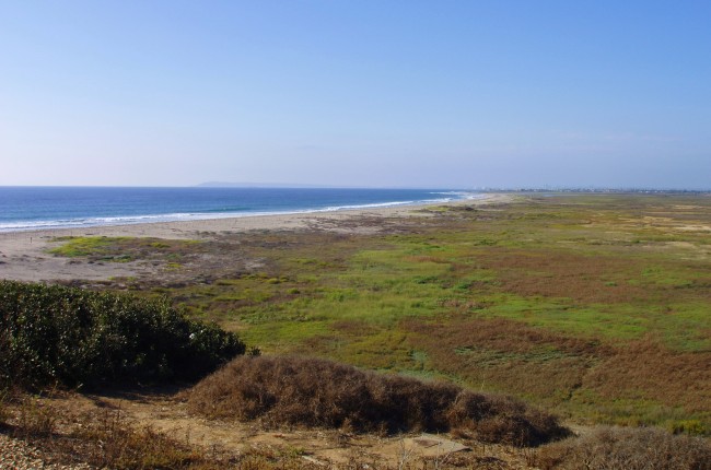 Border Field State Park Beach in San Diego, CA - California Beaches