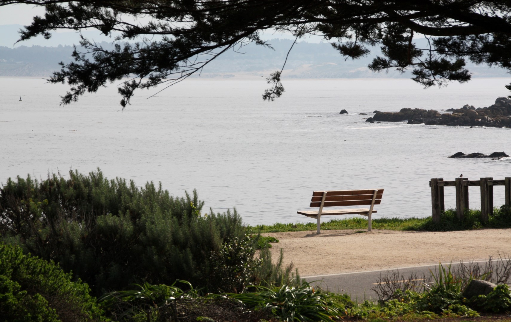 Beaches in Pacific Grove, CA - California Beaches