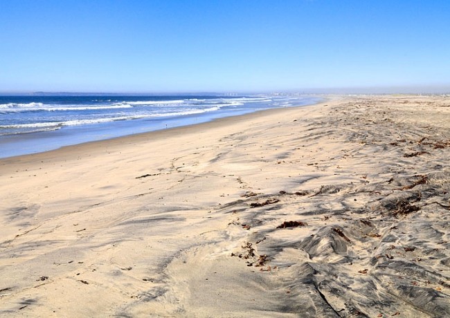 Border Field State Park Beach in San Diego, CA - California Beaches