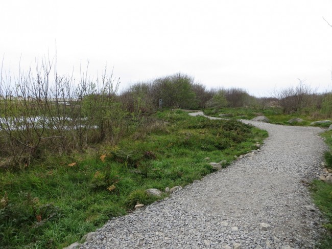 Clam Beach County Park in McKinleyville, CA - California Beaches