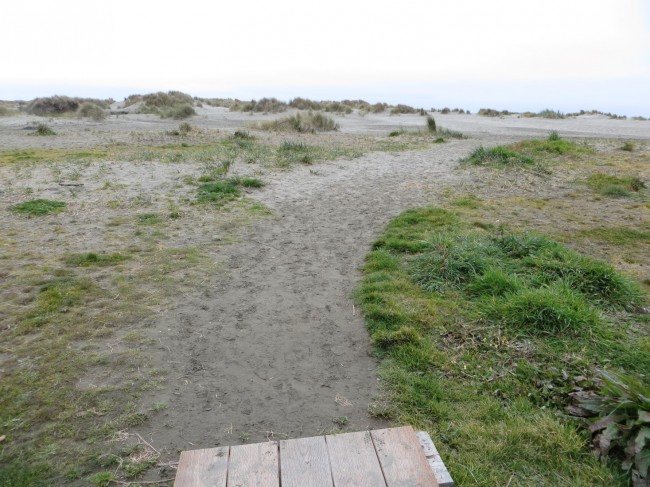 Clam Beach County Park in McKinleyville, CA - California Beaches