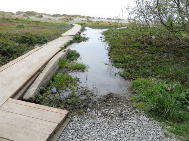 Clam Beach County Park in McKinleyville, CA - California Beaches