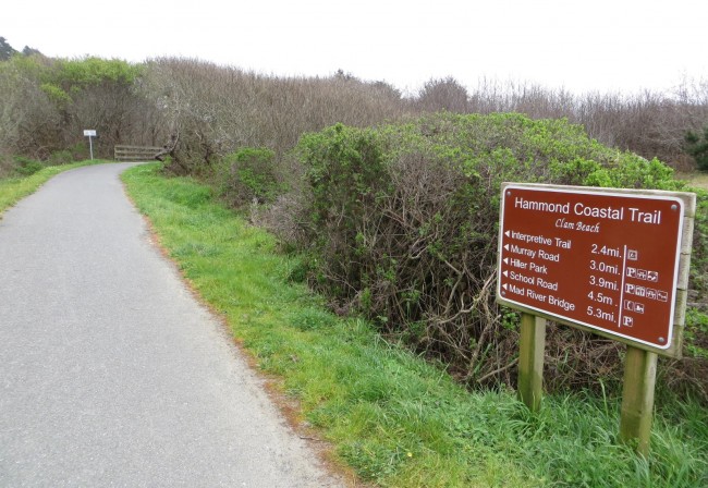 Clam Beach County Park in McKinleyville, CA - California Beaches