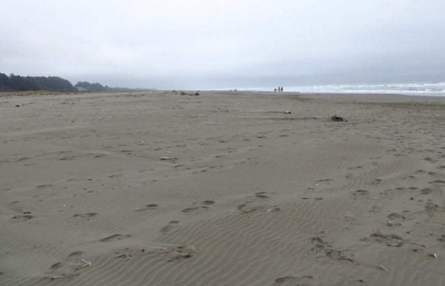 Clam Beach County Park in McKinleyville, CA - California Beaches