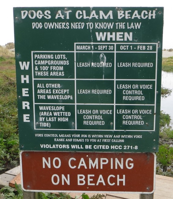 Clam Beach County Park in McKinleyville, CA - California Beaches