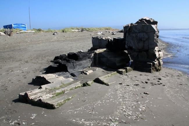 Crab County Park Beach in Loleta, CA - California Beaches