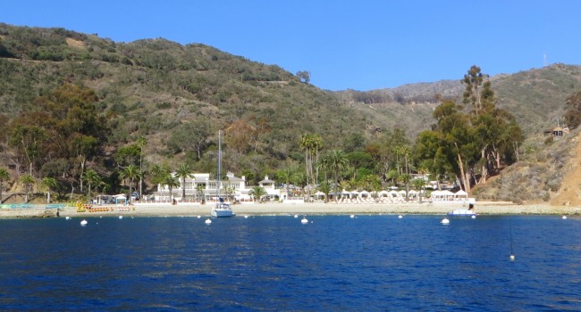 Descanso Beach on Catalina Island in Avalon, CA - California Beaches