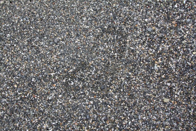 Dry Lagoon Beach in Trinidad, CA - California Beaches