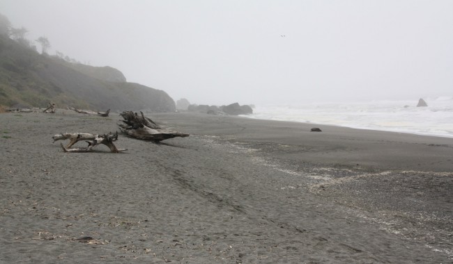 Dry Lagoon Beach in Trinidad, CA - California Beaches