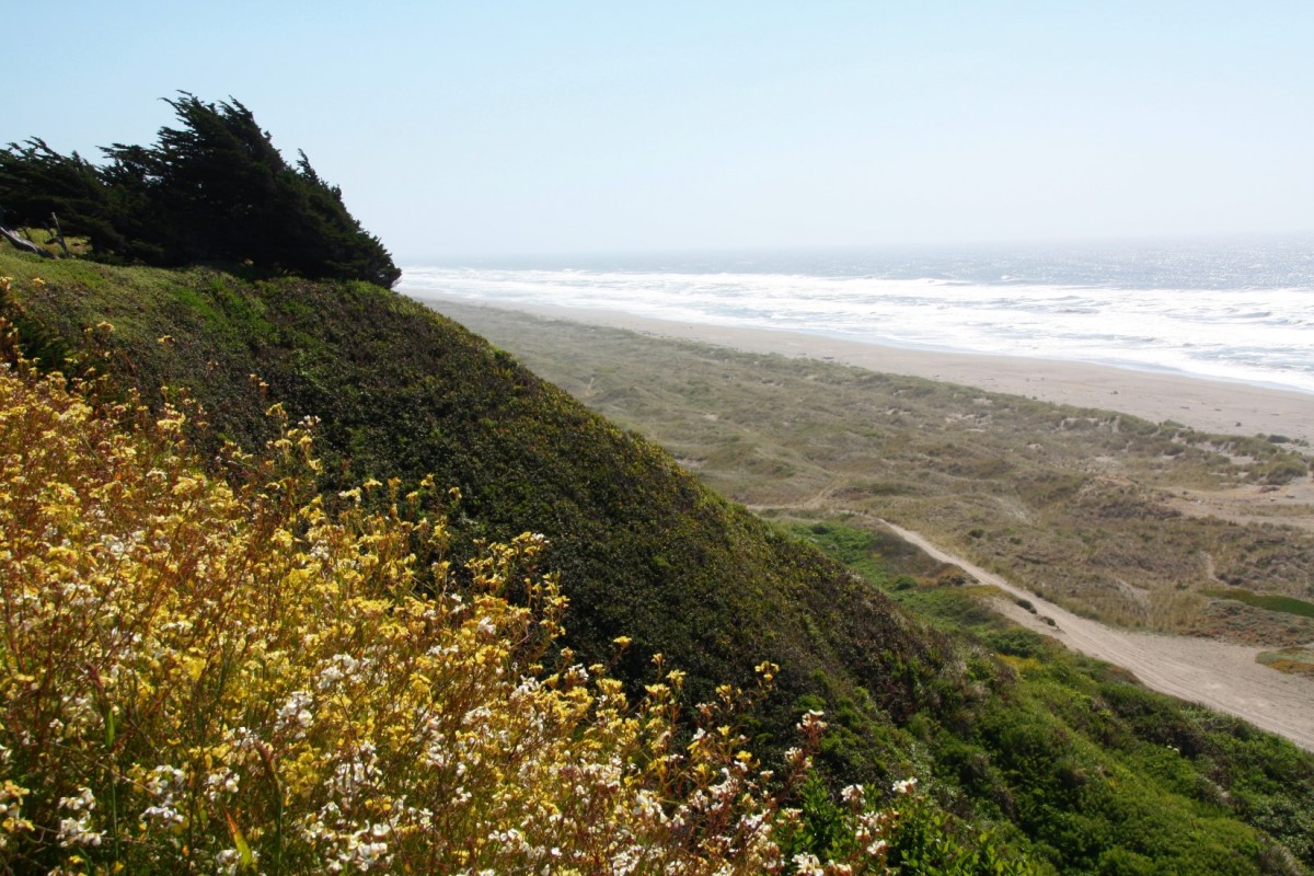 Table Bluff County Park Beach in Loleta, CA - California Beaches