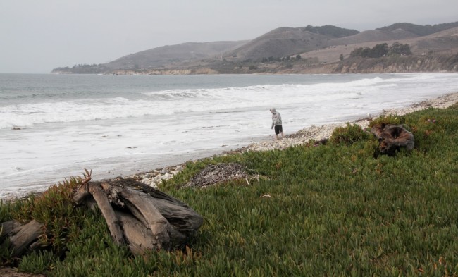 El Capitan State Beach in Goleta, CA - California Beaches