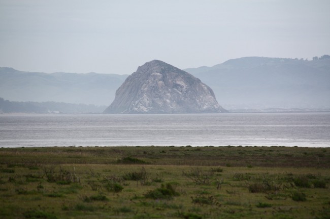 Estero Bluffs State Park in Cayucos, CA - California Beaches