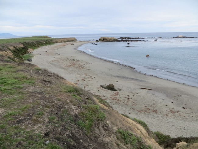 Estero Bluffs State Park in Cayucos, CA - California Beaches