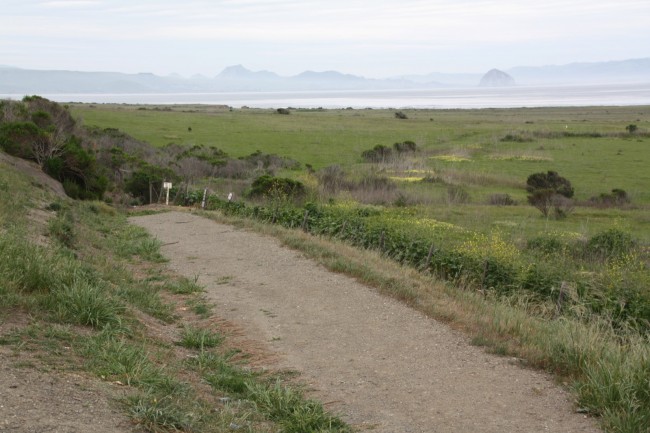 Estero Bluffs State Park in Cayucos, CA - California Beaches