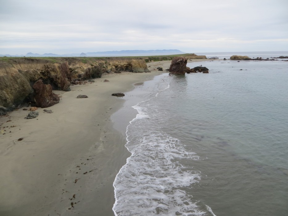 Estero Bluffs State Park, Cayucos, CA - California Beaches