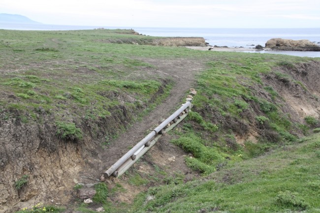 Estero Bluffs State Park in Cayucos, CA - California Beaches