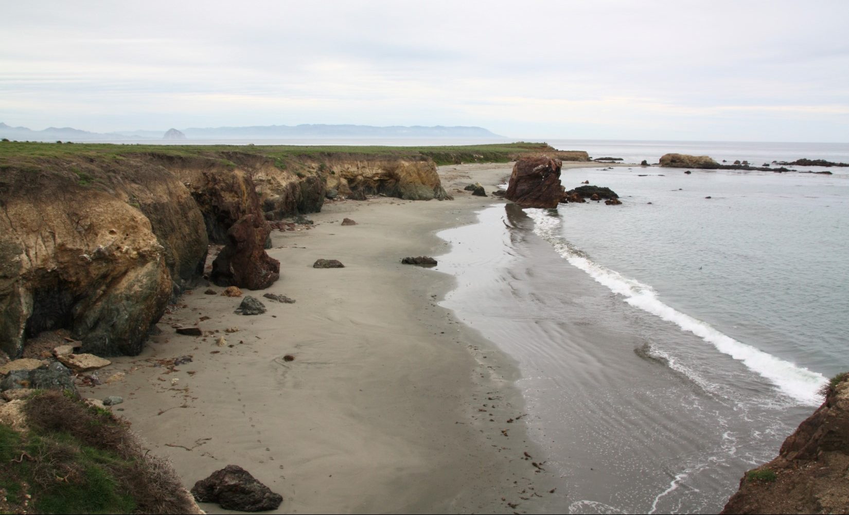 Estero Bluffs State Park in Cayucos, CA - California Beaches
