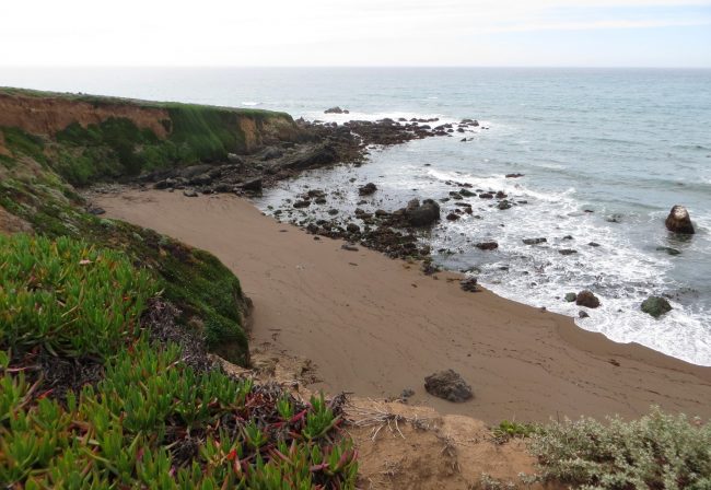 Fiscalini Ranch Preserve in Cambria, CA - California Beaches