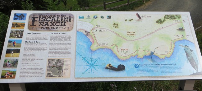 Fiscalini Ranch Preserve in Cambria, CA - California Beaches