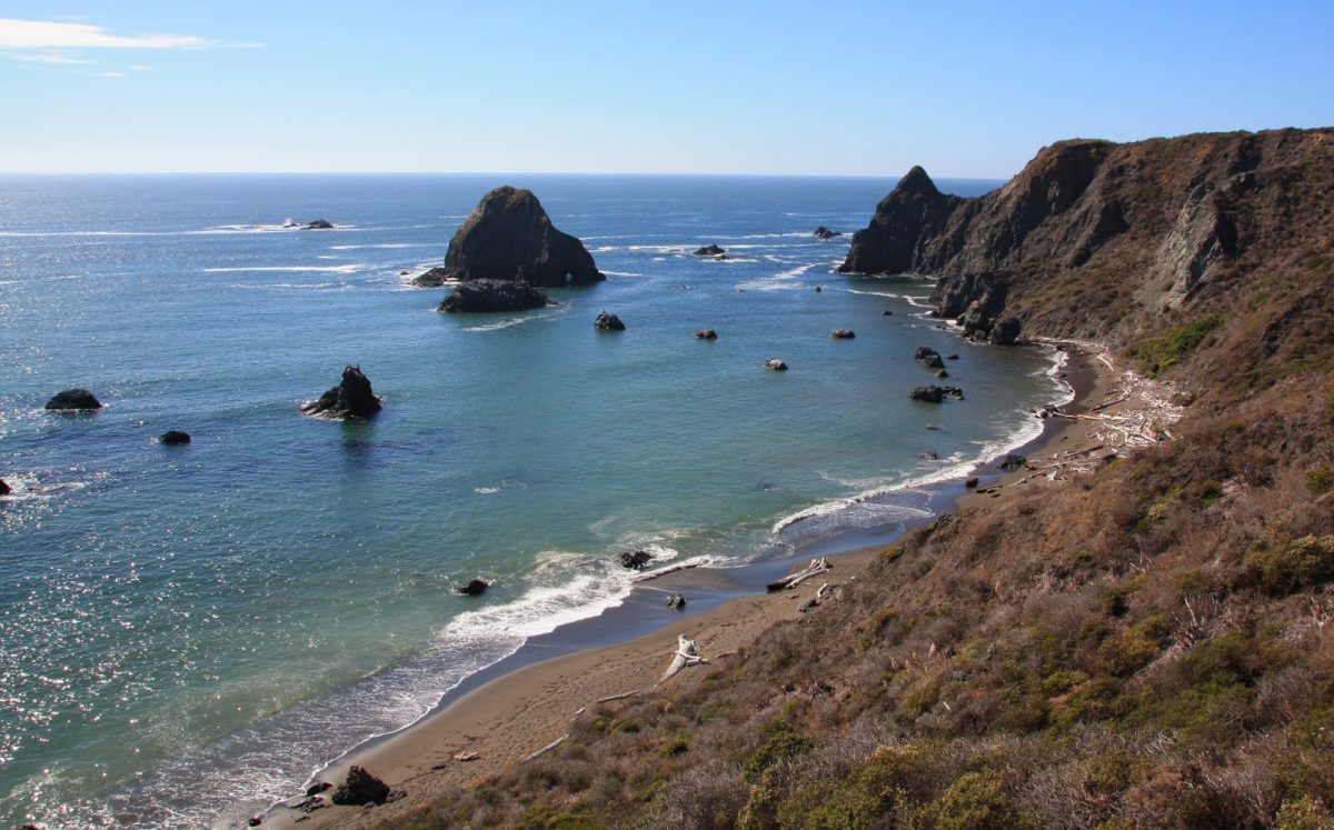 Goat Rock Beach in Jenner, CA - California Beaches