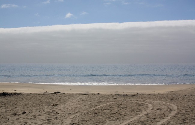 Fish Rock Beach at Anchor Bay Campground in Gualala, CA - California ...
