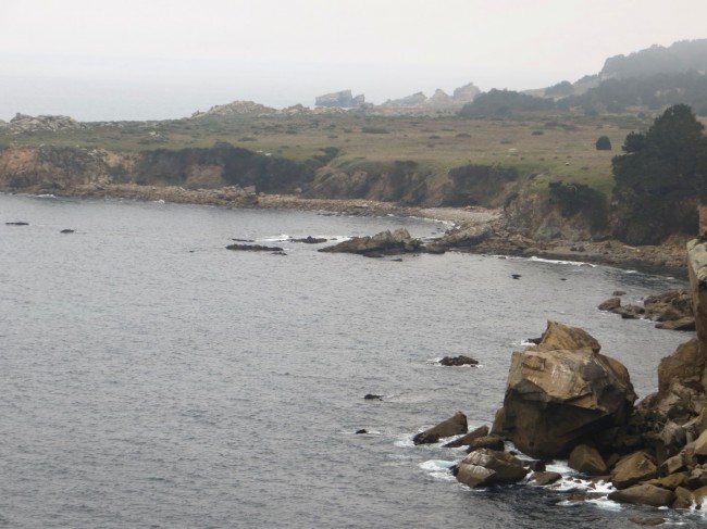 Fisk Mill Cove in Jenner, CA - California Beaches