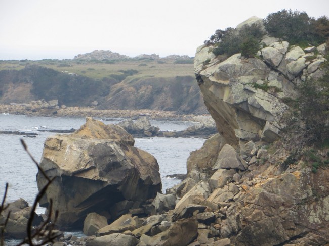 Fisk Mill Cove in Jenner, CA - California Beaches