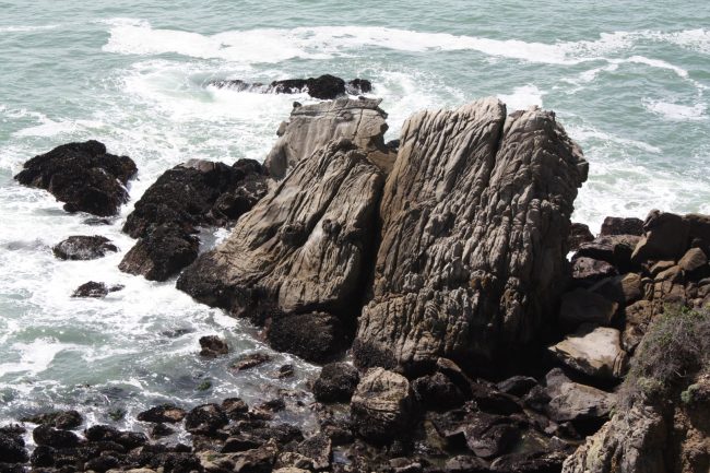 Fort Ross Campground Beach in Jenner, CA - California Beaches