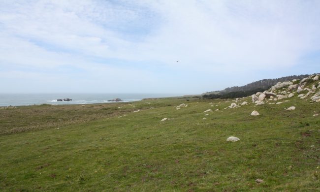 Clam Beach at Fort Ross in Jenner, CA - California Beaches