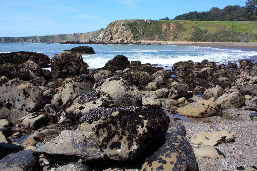 Sandy Cove Beach at Fort Ross in Jenner, CA - California Beaches