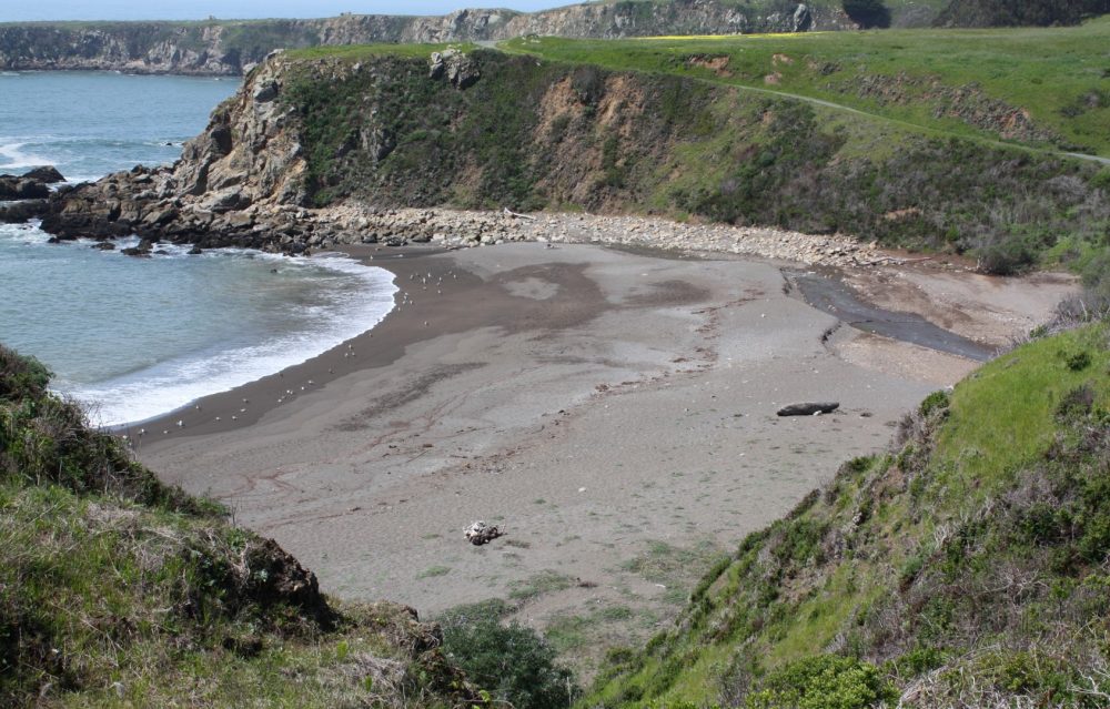 Sandy Cove Beach at Fort Ross in Jenner, CA - California Beaches