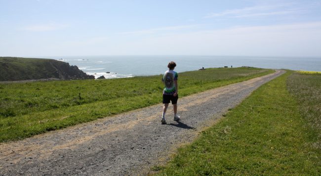 Sandy Cove Beach at Fort Ross in Jenner, CA - California Beaches