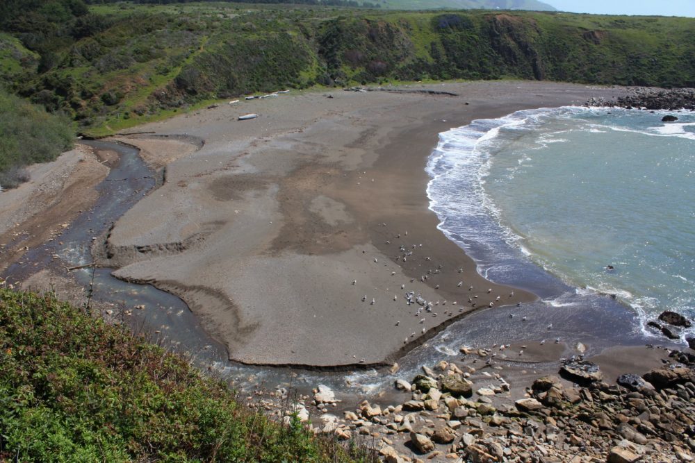 Sandy Cove Beach at Fort Ross, Jenner, CA - California Beaches