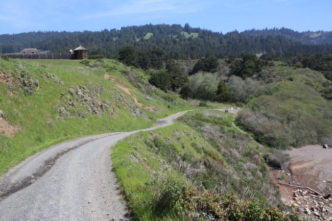 Sandy Cove Beach at Fort Ross in Jenner, CA - California Beaches